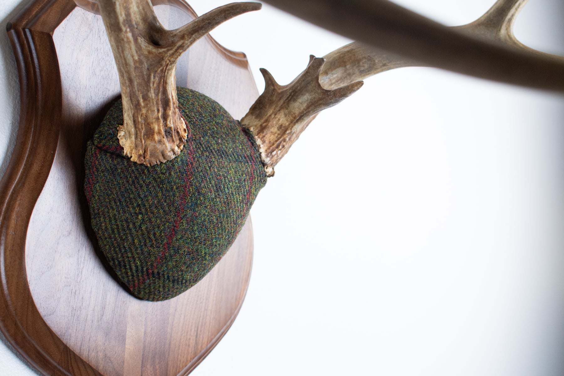 Rustic Antler Market | Handcrafted Antler Mounts & Decor